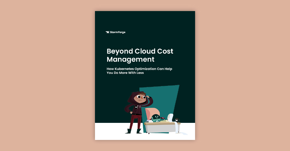 [eBook] Beyond Cloud Cost Management | StormForge
